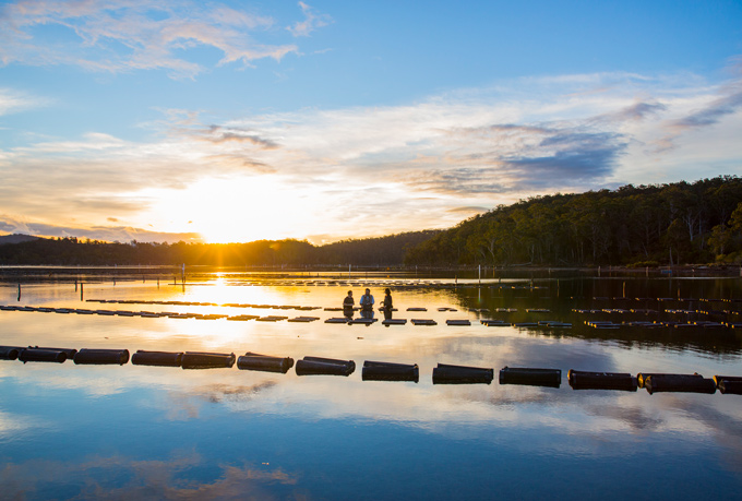 Savour the Sapphire Coast in Australia